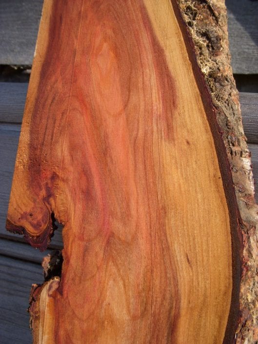 Plum - The Wood Place
