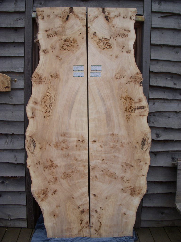 The Wood Place - Lanarkshire Hardwoods - Patrick Baxter