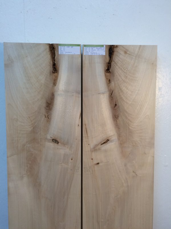 New Stock - 4.5cm thick planed SYCAMORE boards - The Wood Place