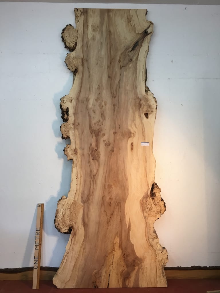 The Wood Place - Lanarkshire Hardwoods - Patrick Baxter