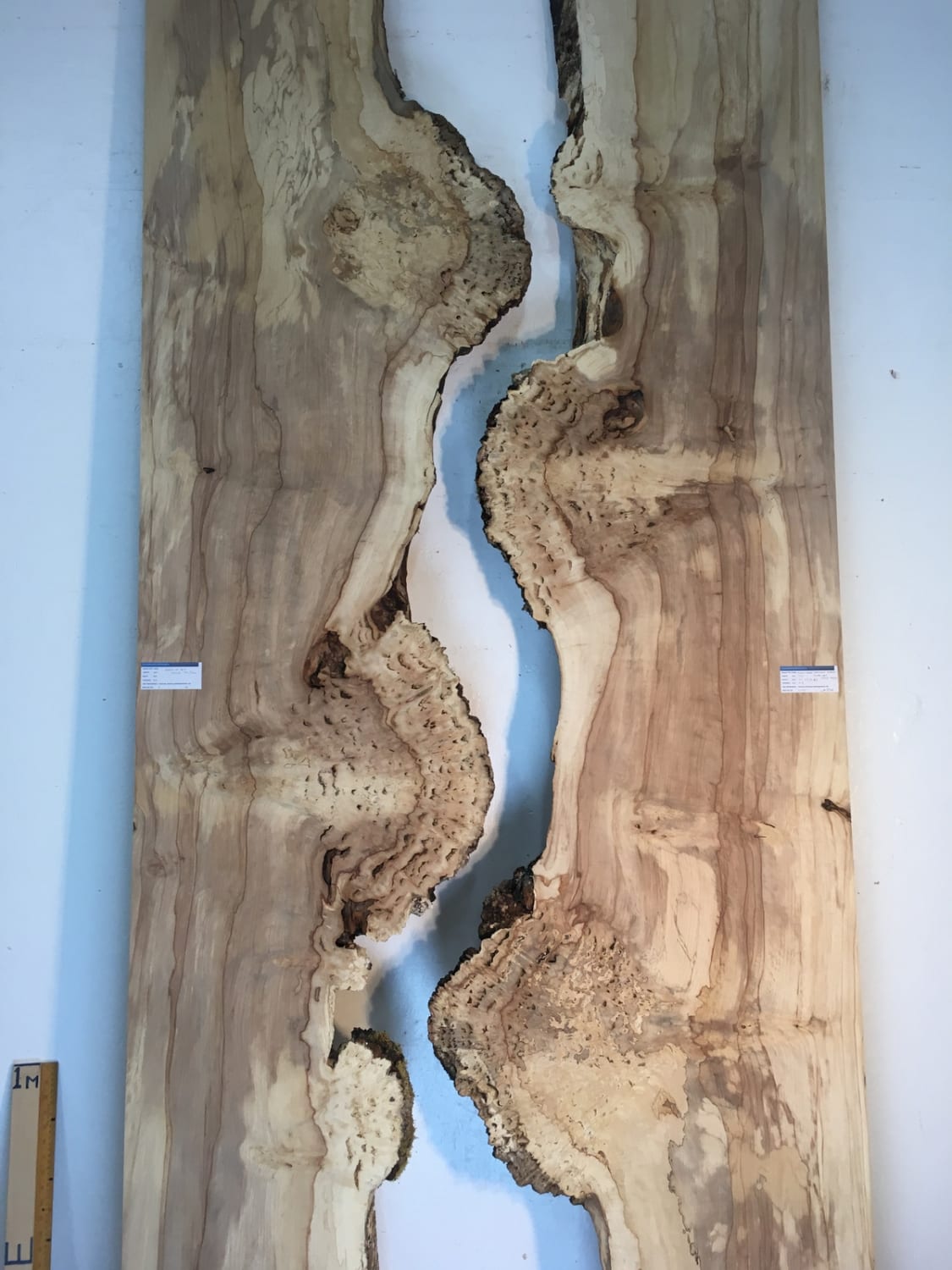 The Wood Place - Lanarkshire Hardwoods - Patrick Baxter