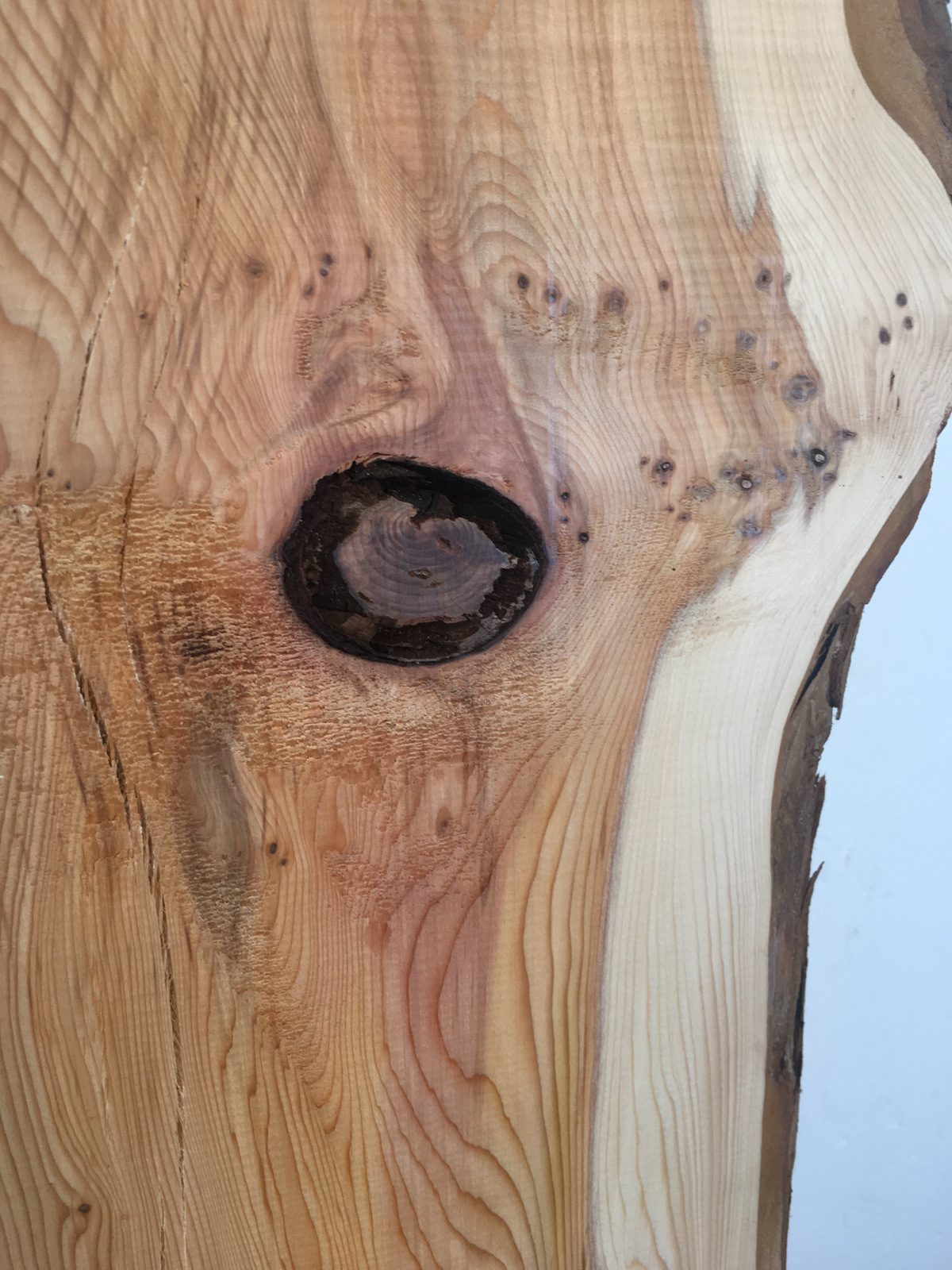 PIPPY YEW Natural Waney Live Edge Slab Wood Board