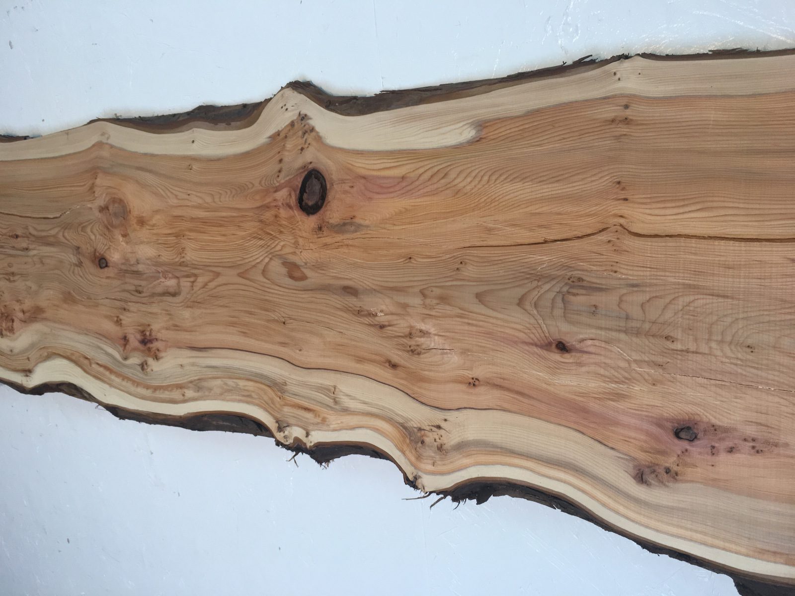 PIPPY YEW Natural Waney Live Edge Slab Wood Board