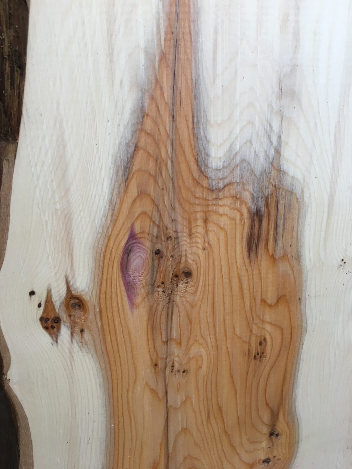 PIPPY YEW Natural Waney Live Edge Slab Wood Board