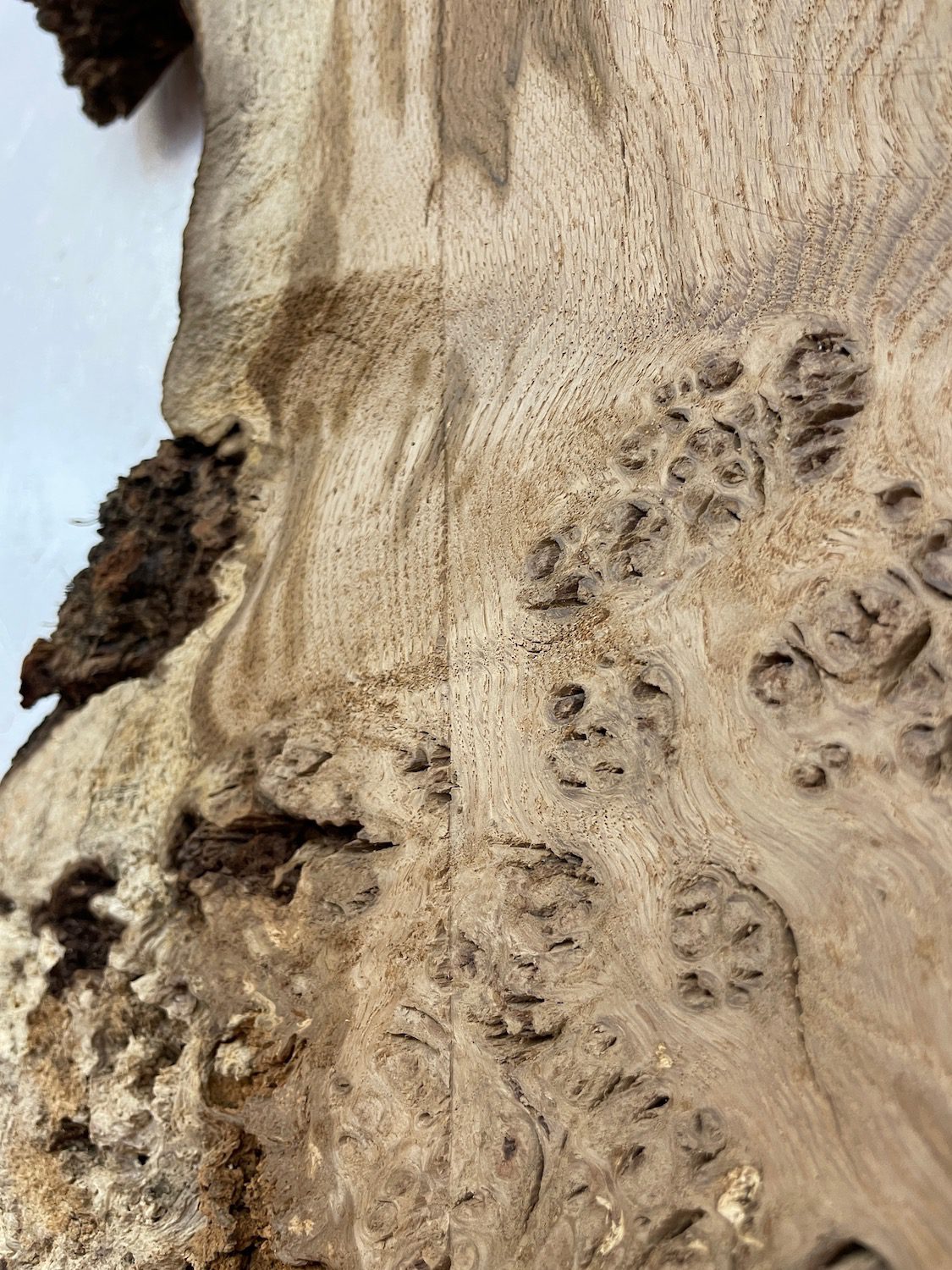 BURRY OAK Natural Waney Edge Slab Milled Finish Hardwood Board 1547A-3B ...