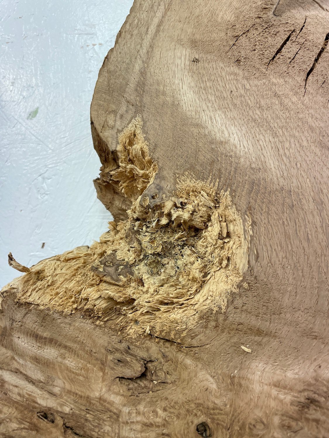 BURRY OAK River Table Set Dining Tabletops