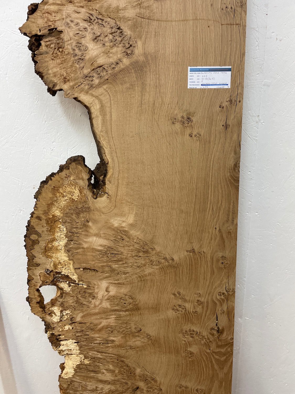 BURRY OAK Single Waney Natural Edge Slab Planed Finish