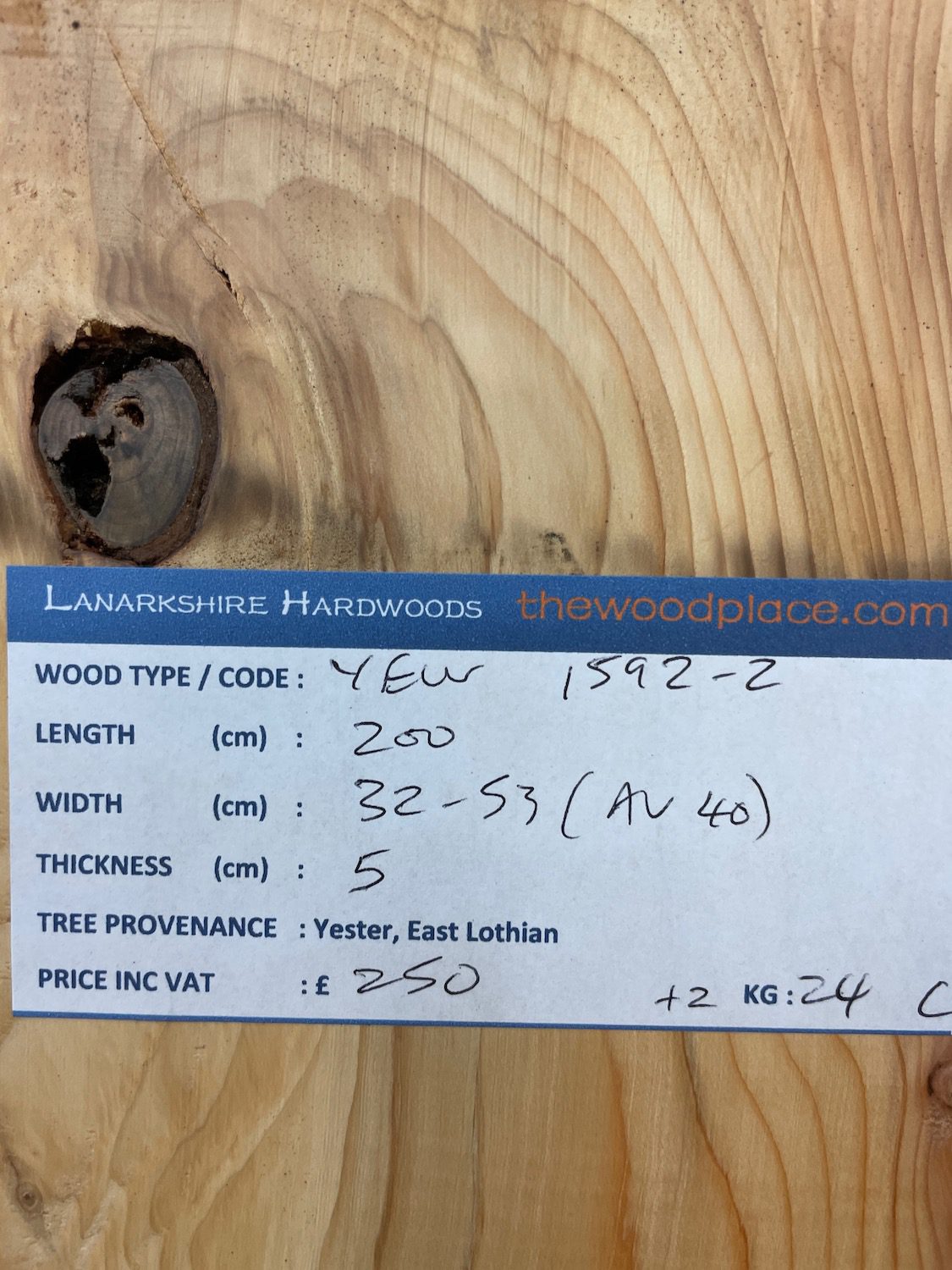 YEW Natural Waney Edge Slab Planed Finish Hardwood Board