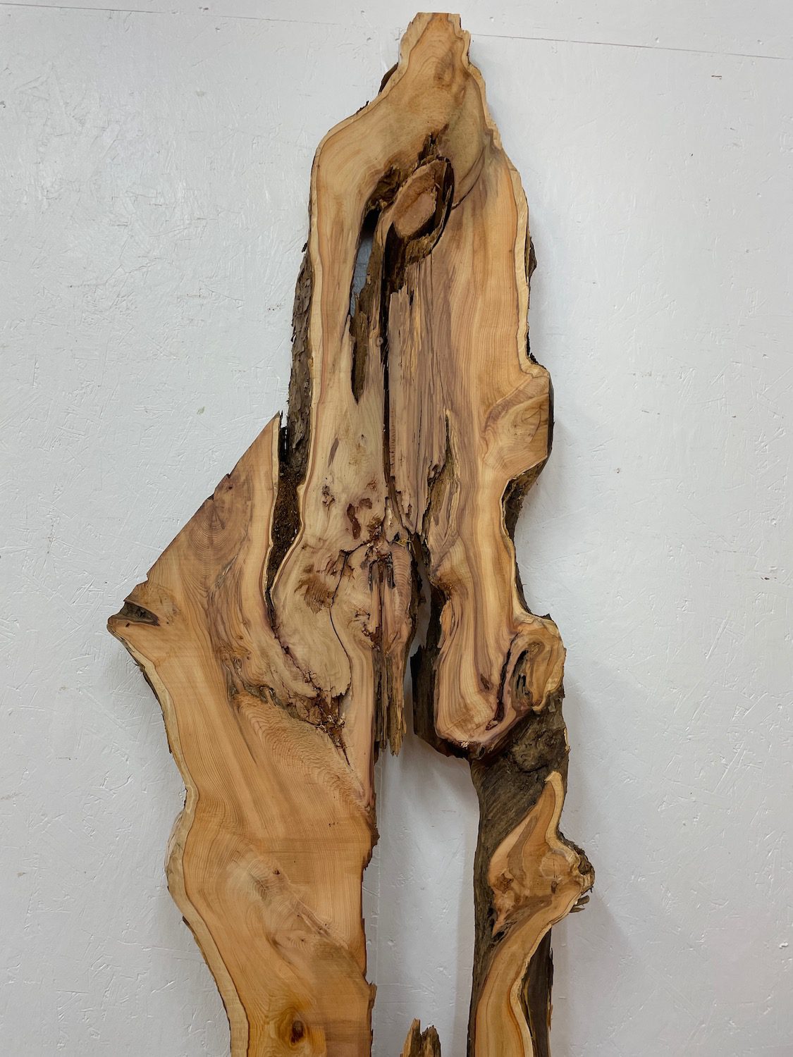 YEW Natural Waney Edge Slab Planed Finish Hardwood Board