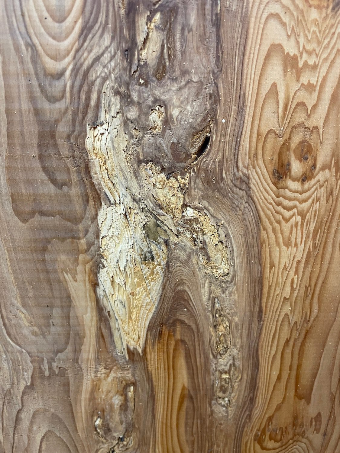 YEW Natural Waney Edge Slab Planed Finish Hardwood Board