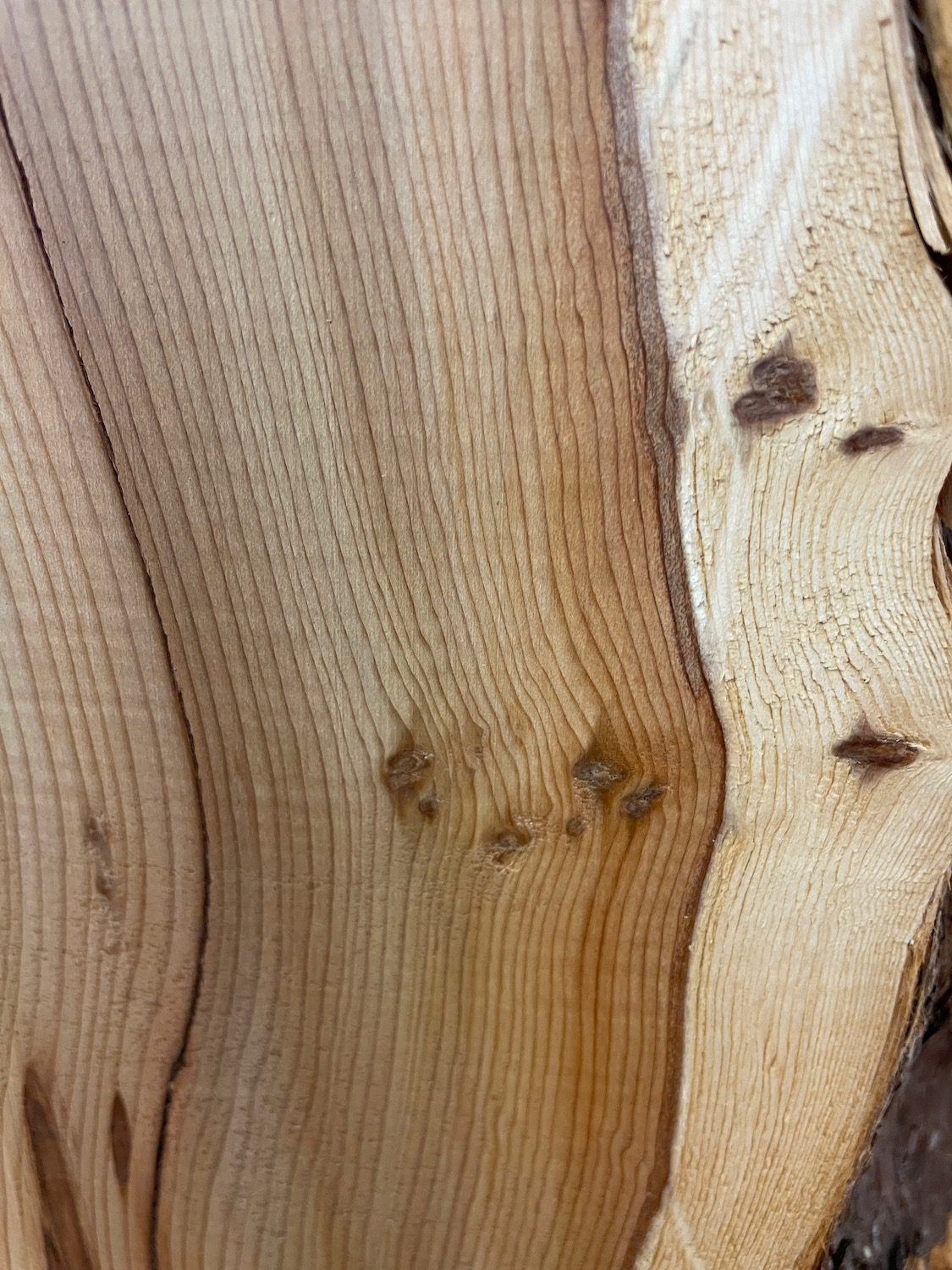 YEW Natural Waney Edge Slab Planed Finish Hardwood Board