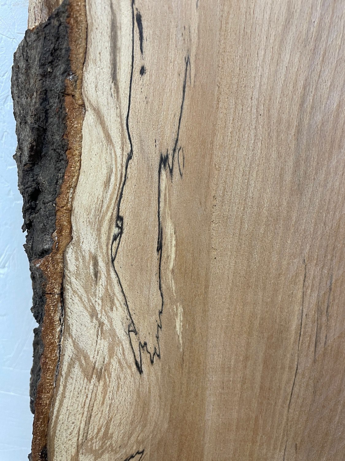 SPALTED BEECH Natural Waney Edge Slab Milled Finish