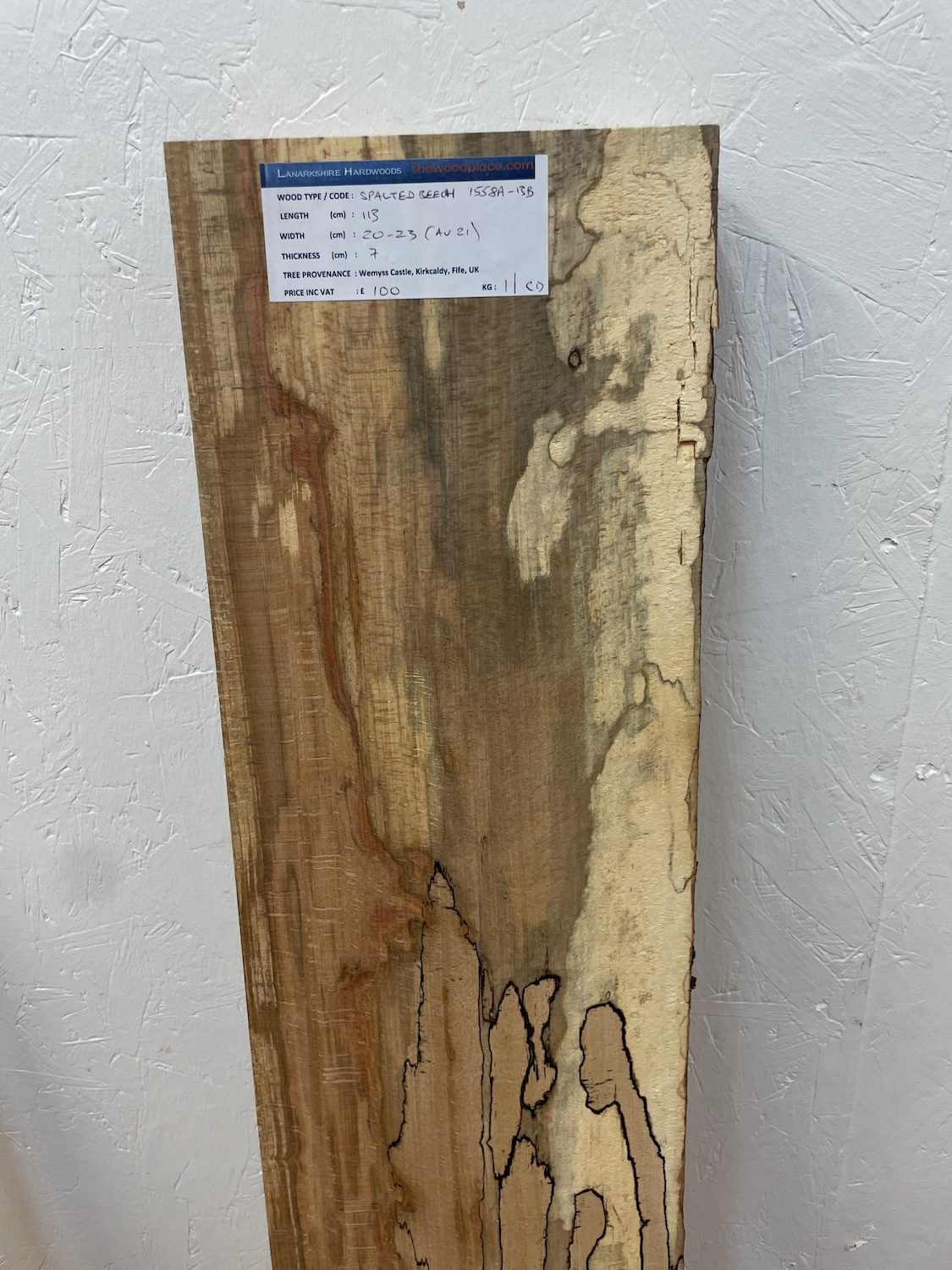 SPALTED BEECH Single Waney Edge Slab Planed Finish